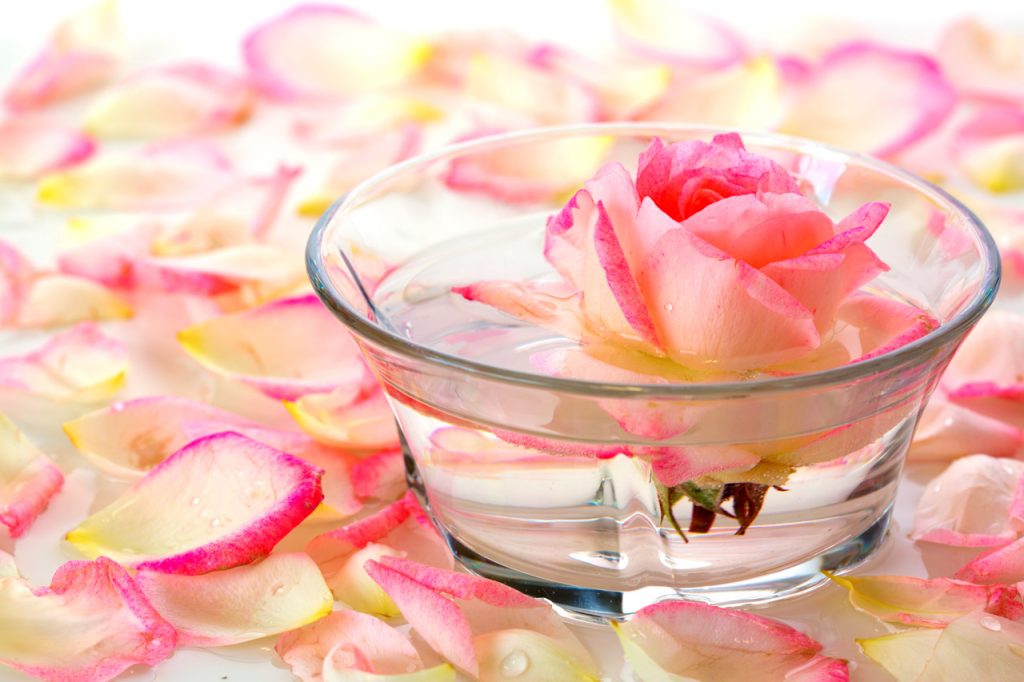 Rosal de Castilla | Mis Remedios