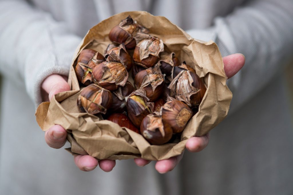 Descubre los Beneficios de las Castañas para tu Salud | Mis Remedios