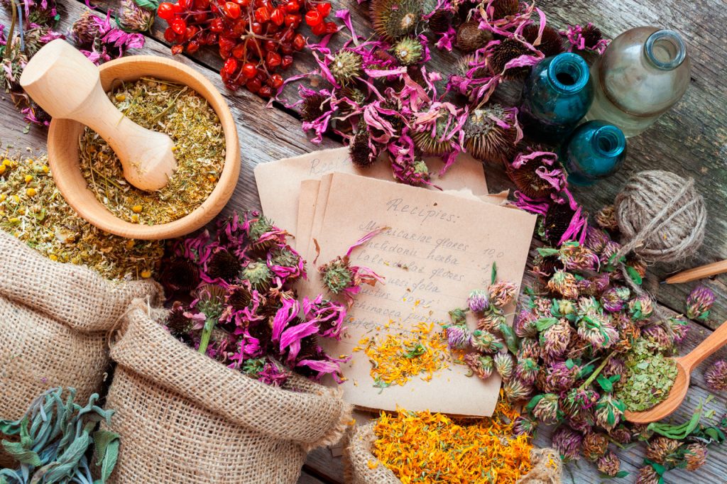 25 Hierbas para Mantener un Cuerpo y una Mente Sanos | Mis Remedios