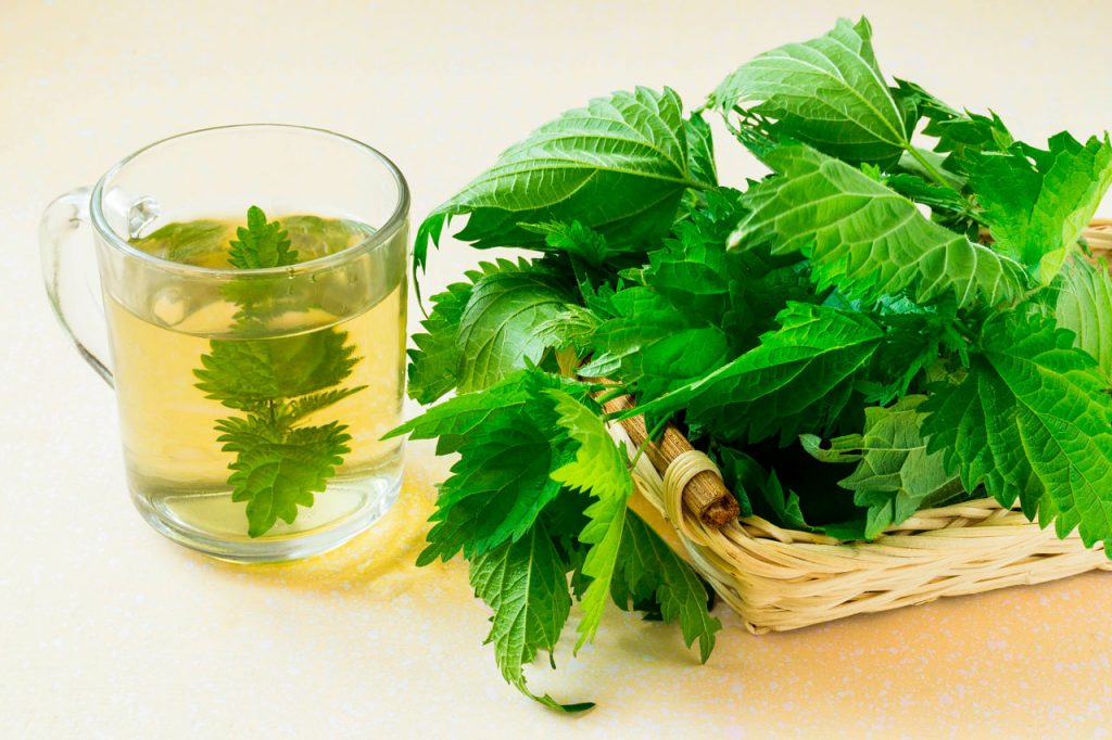 Infusión de Eufrasia, Llantén Mayor, Ortiga y Eupatorio para las ...