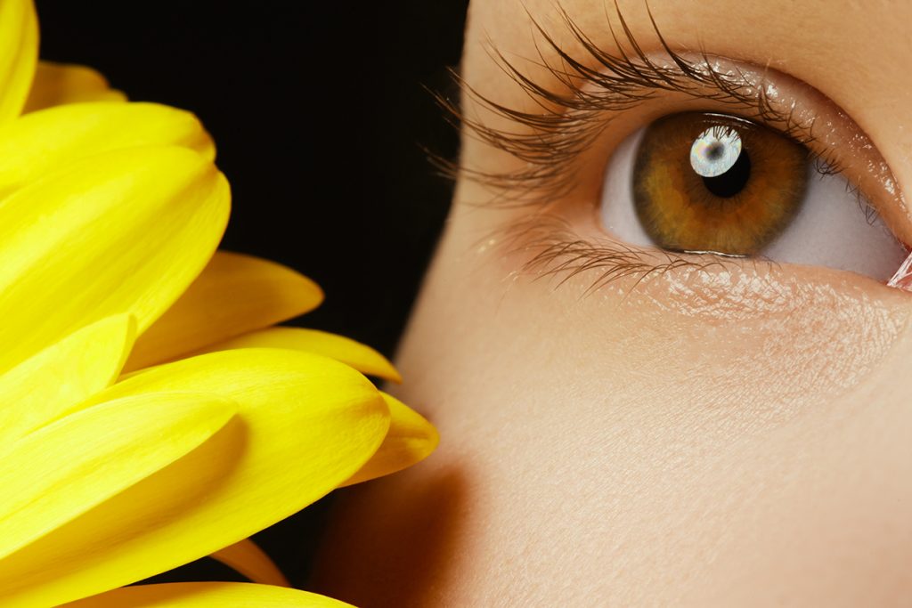 10 Remedios Naturales para Alargar tus Pestañas | Mis Remedios