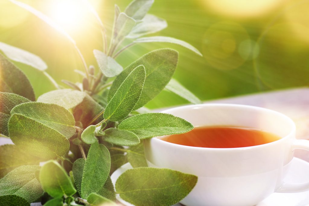 18 Beneficios de la Salvia que Quizás Desconocías | Mis Remedios