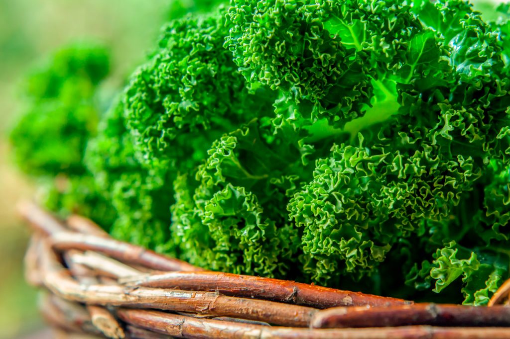 11 Motivos para Introducir la Col Rizada en tu Dieta | Mis Remedios