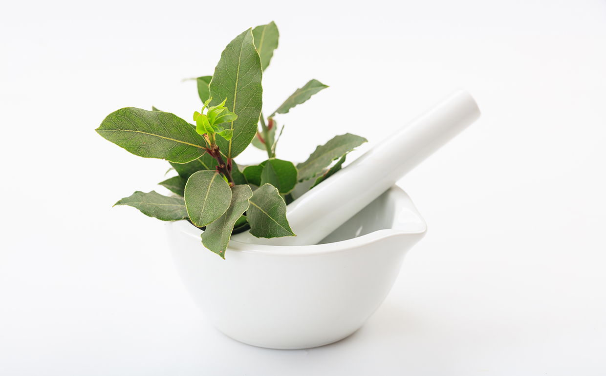 10 Beneficios de las Hojas de Laurel que Te Encantará Conocer | Mis ...