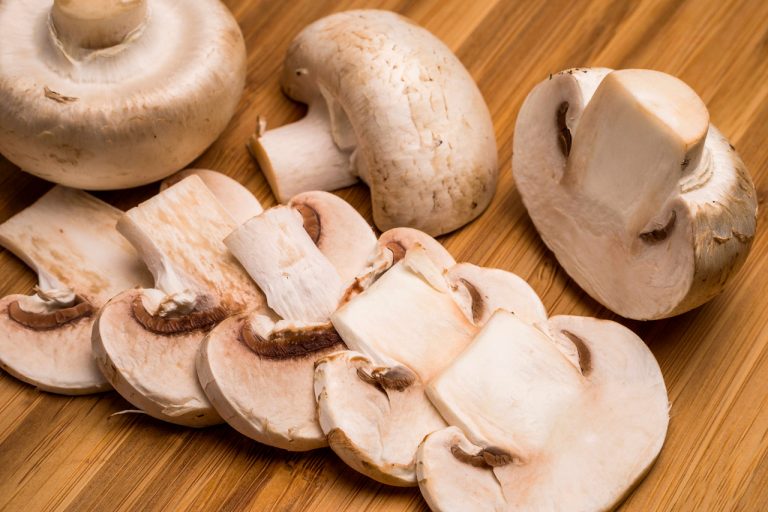 12 Beneficios de las Setas que No te Dejarán Indiferente | Mis Remedios