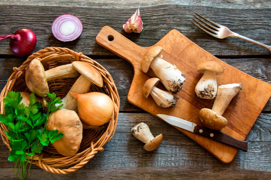 12 Beneficios de las Setas que No te Dejarán Indiferente | Mis Remedios