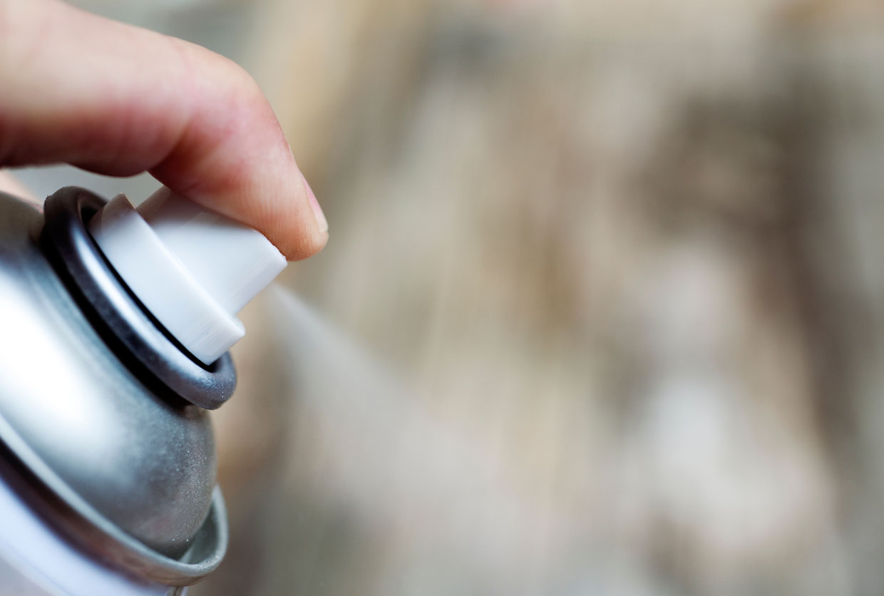 Elimina las Cucarachas de tu Casa de una Forma Efectiva | Mis Remedios